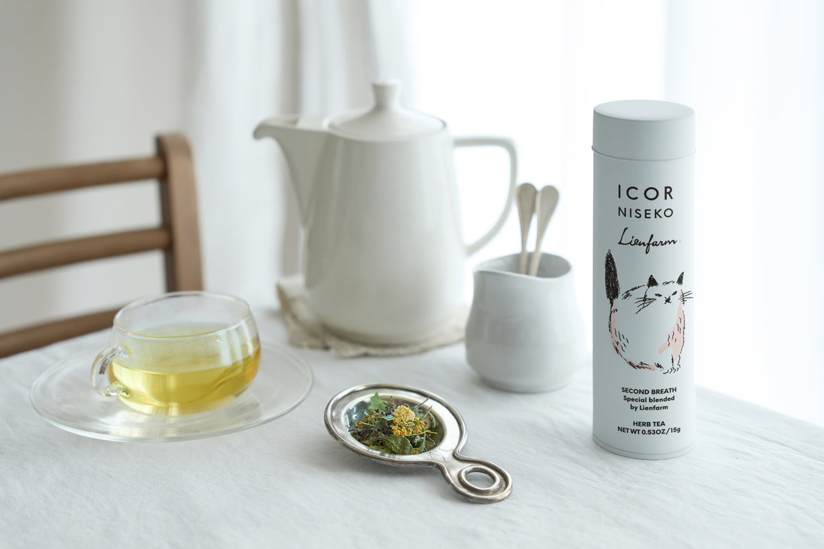 FOOD | ICOR - Holistic beauty brand